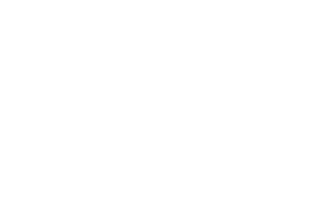 lizard-bg-test2.fw | VAHS